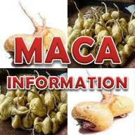 Tricajus | Tricajus For Sale