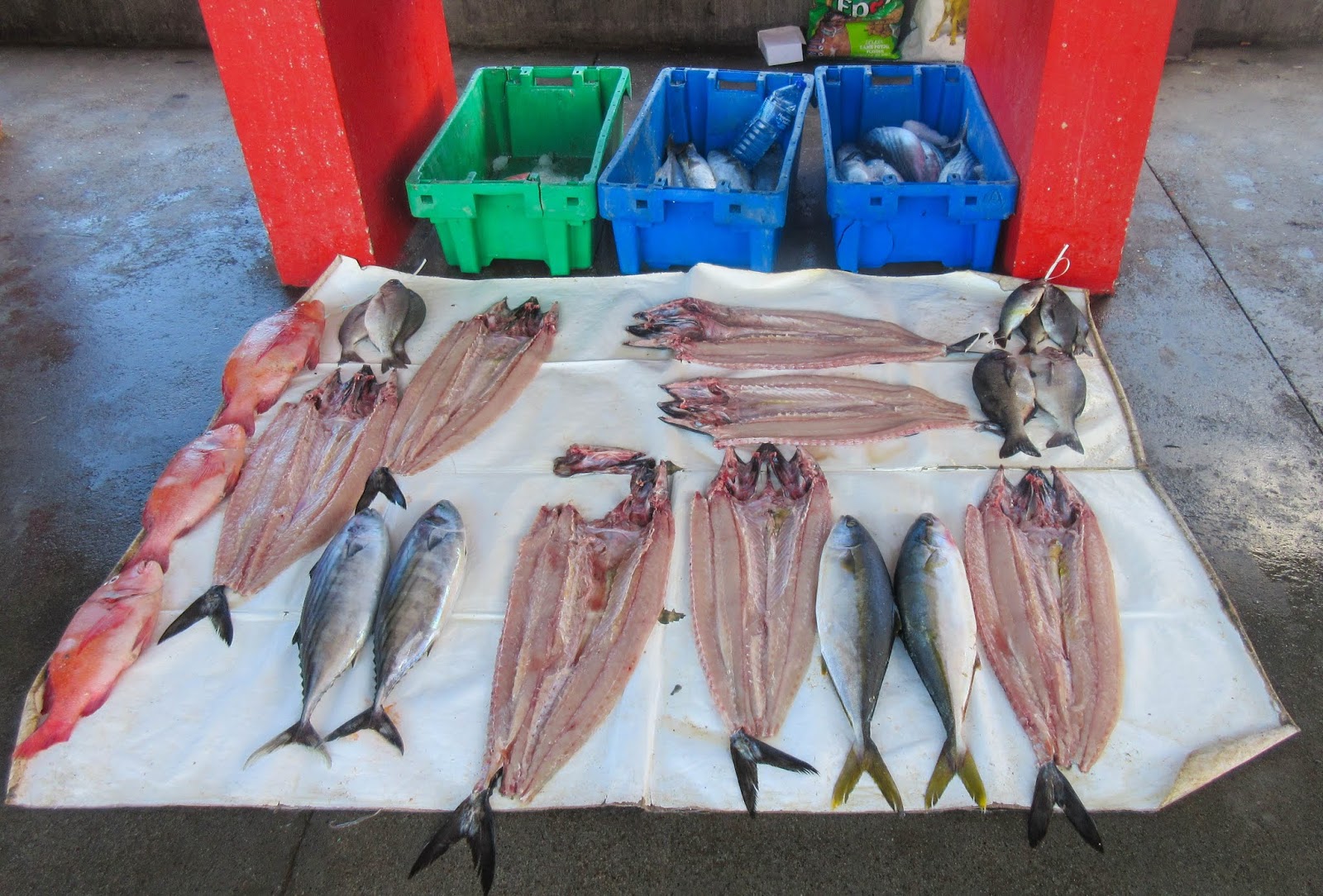 Cannundrums: Kalky's - Kalk Bay, South Africa