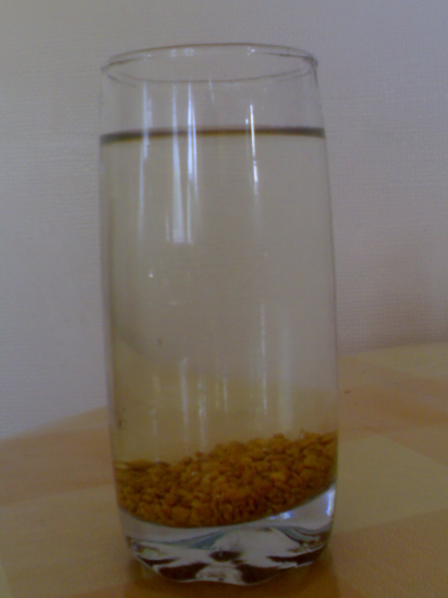 Baiti Jannati: Khasiat Halba