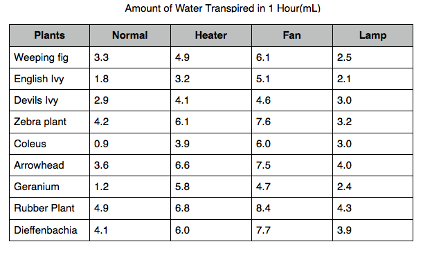 Honors Biology : Plant Transpiration Lab