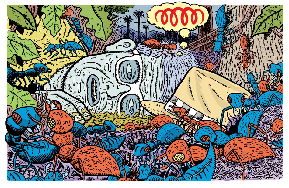 matstuff: Ant Wars...