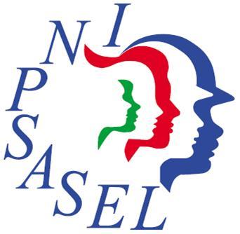 Blog de Seguridad y Salud Laboral: Normas Técnicas Inpsasel