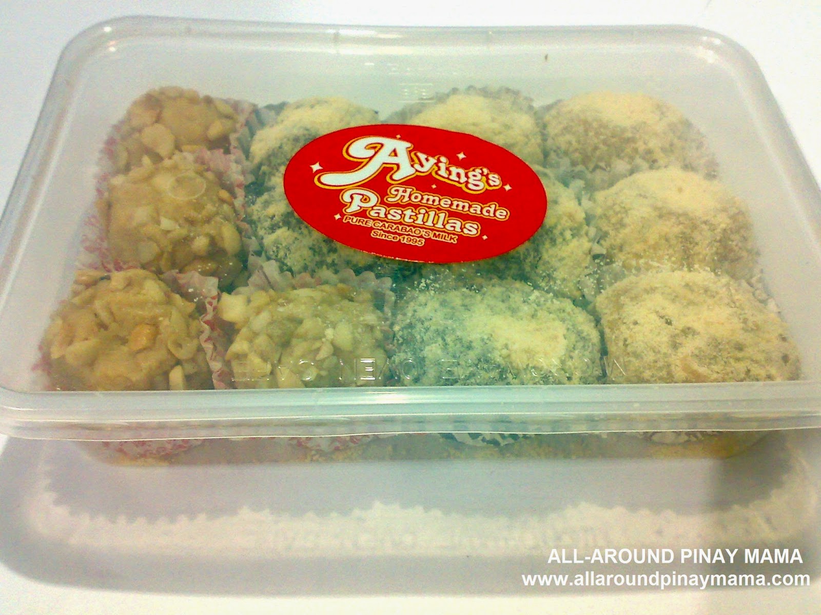 Aying's Homemade Pastillas: A Taste of Home | All-Around Pinay Mama