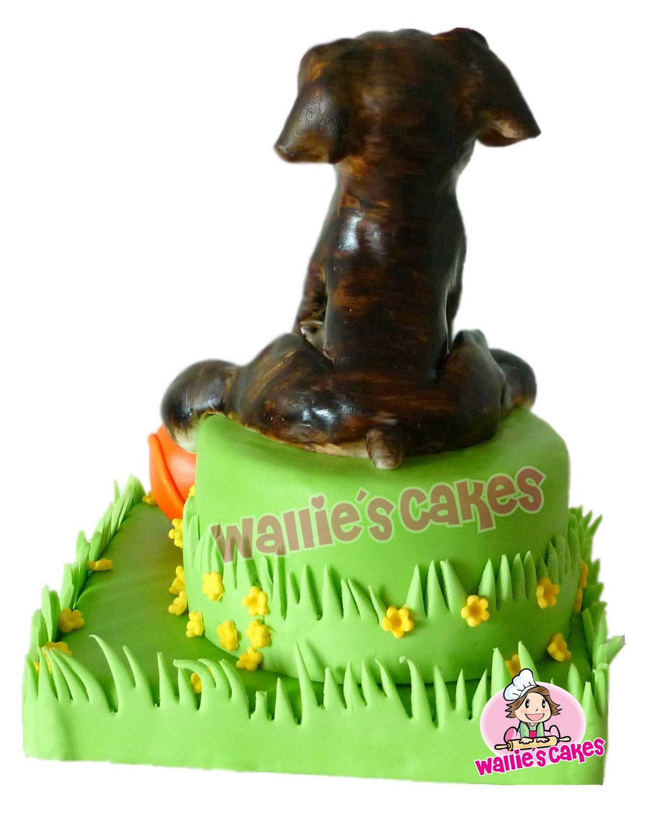 Boxer cake da Vaniglia Zenzero e Cannella su Akkiapparicette