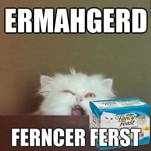 Ermahgerd Meme - Introspective World