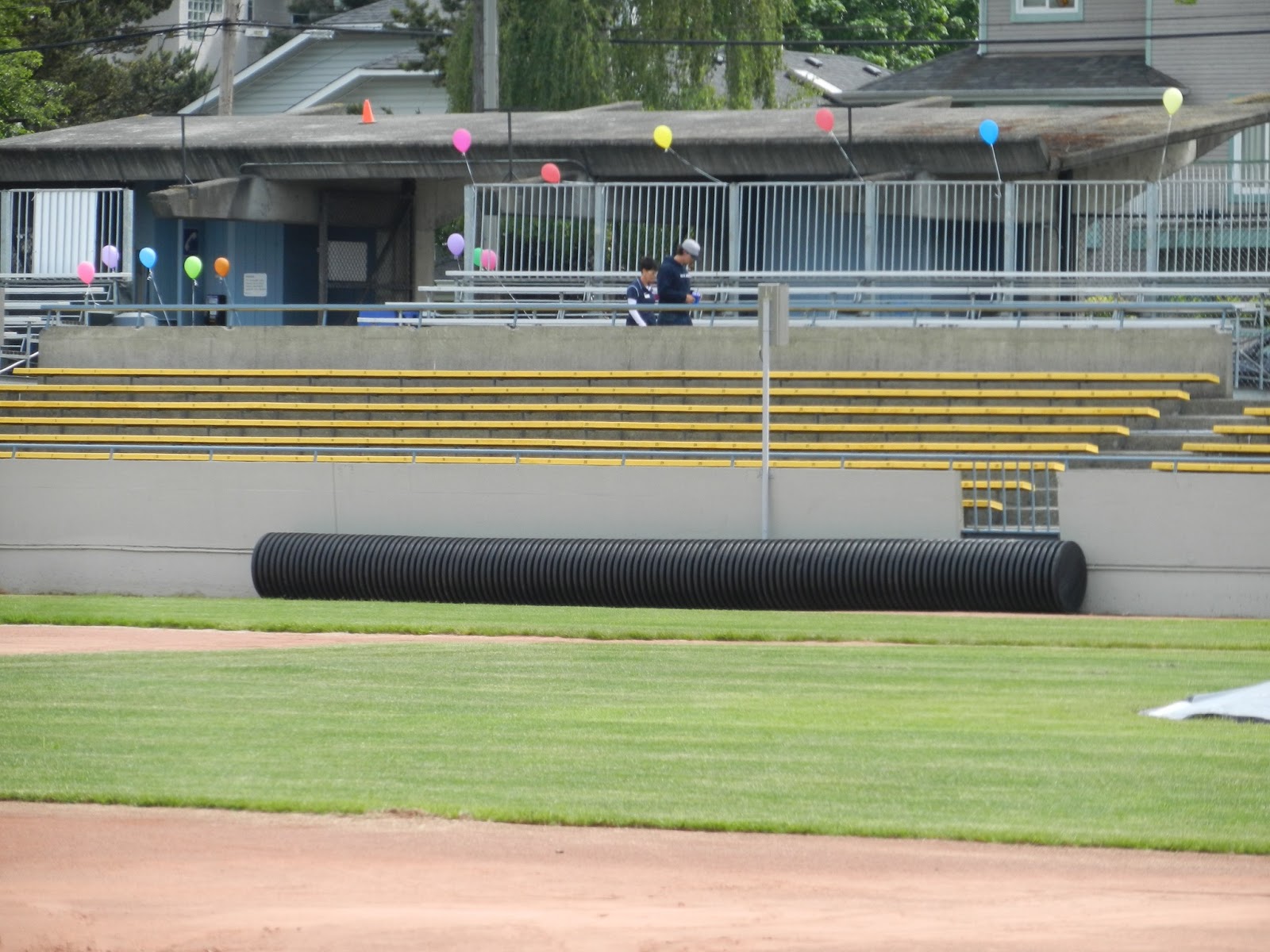 Royal Athletic Park is a ballpark once again | Victoria HarbourCats ...