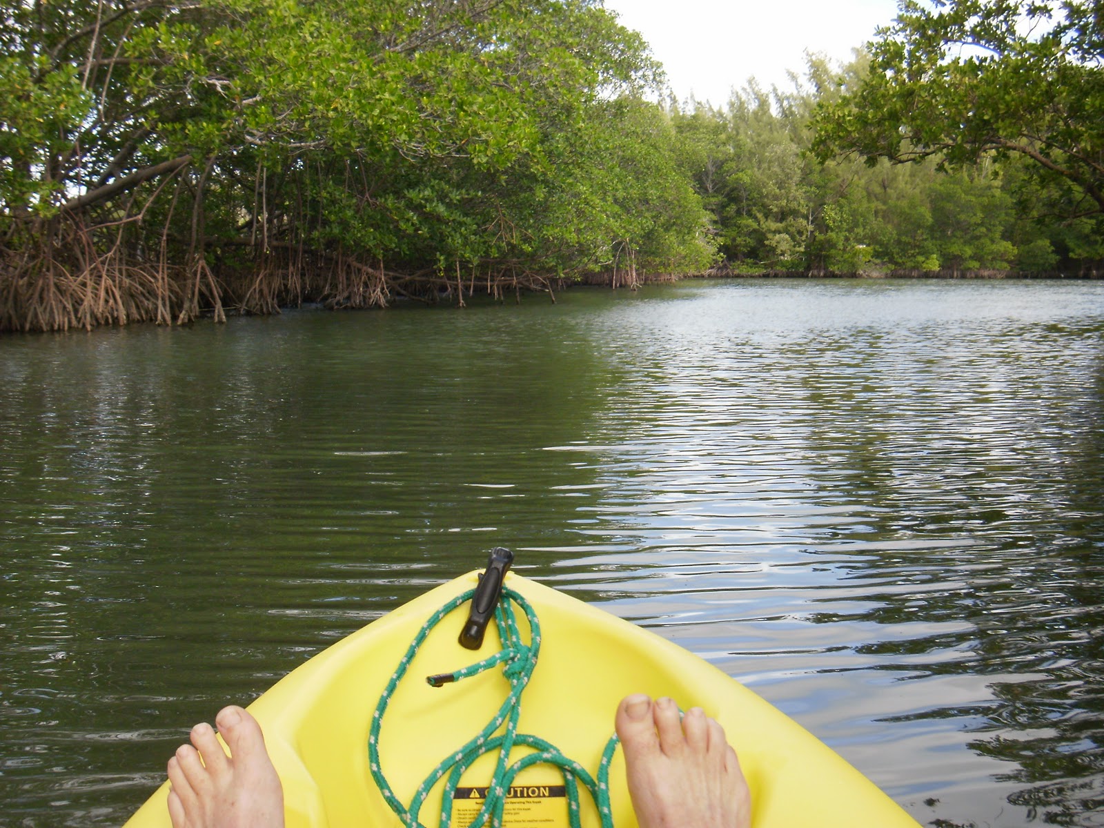 Cruising with RISING TIDE: South Florida Vibes