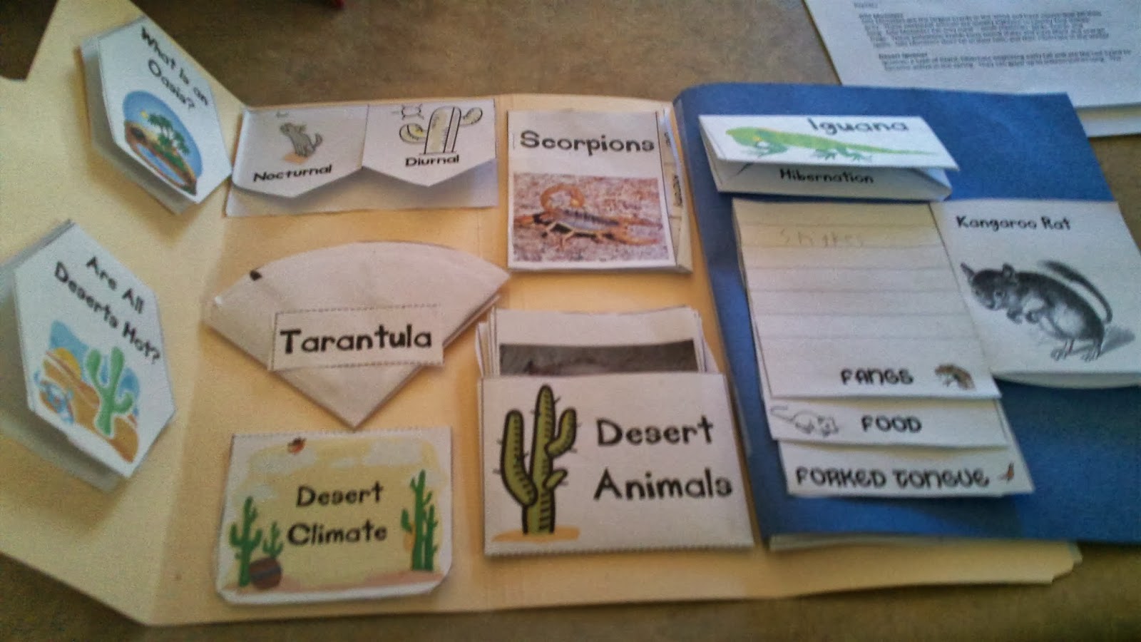 Blessings Abound: Desert Lapbook