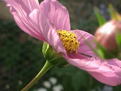 Flower Garden: Ready Threader Tutorial