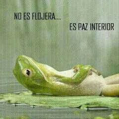 Blog de Capellanía: La flojera