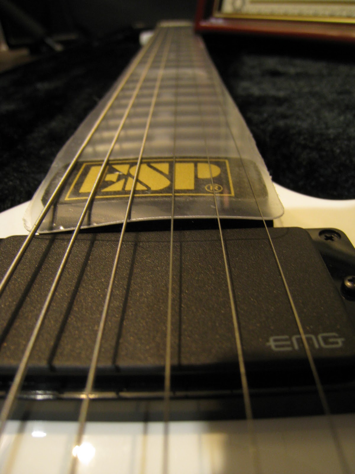 Maximus Guitars & Accessories: ESP Snakebyte