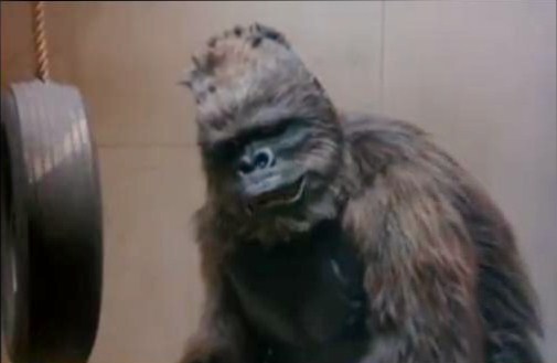 John Kenneth Muir's Reflections on Cult Movies and Classic TV: The Cult ...