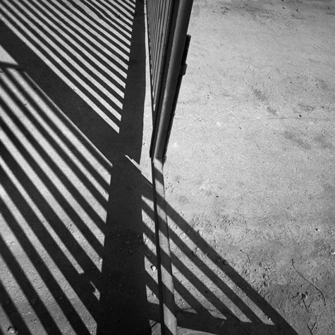 The Southern Photographer: Alan Cohen at the Gregg Museum of Art and Design