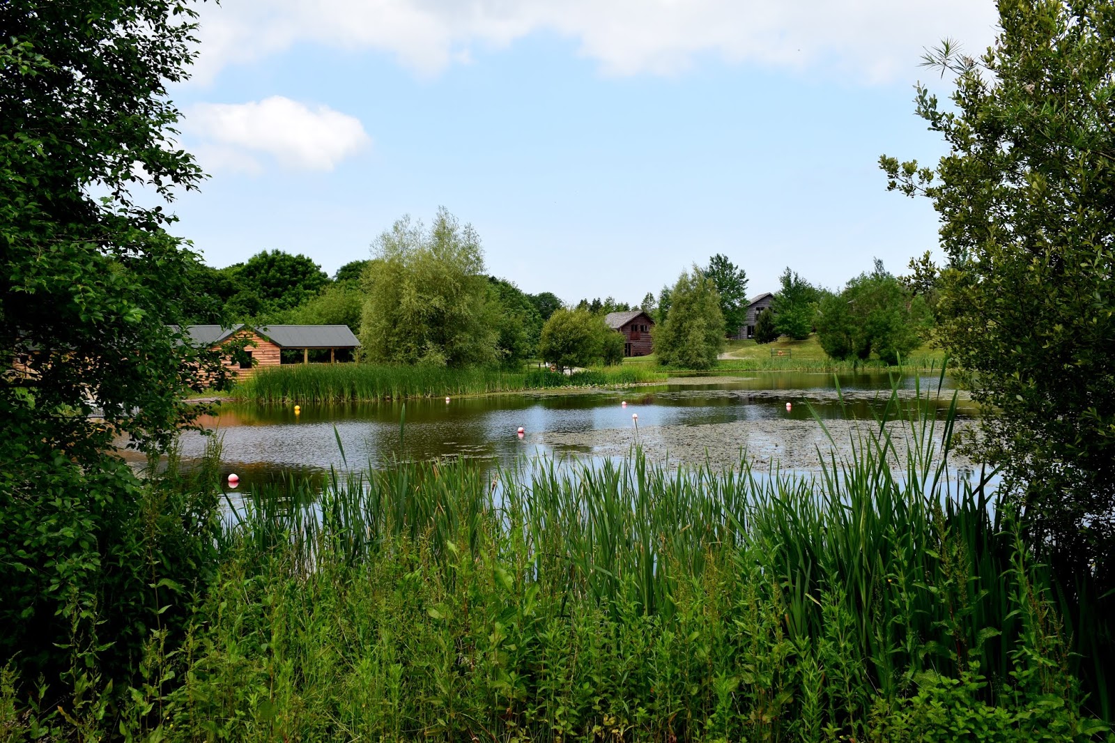 Tantrums To Smiles: Adventure and Activities at Bluestone Wales **REVIEW**