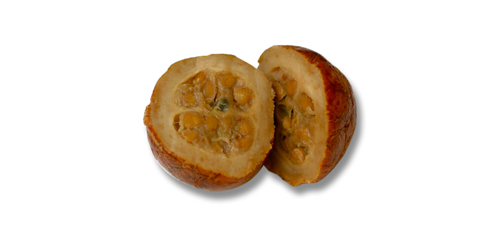 Jenipapo (Genipa americana) | Green Nature Brazil