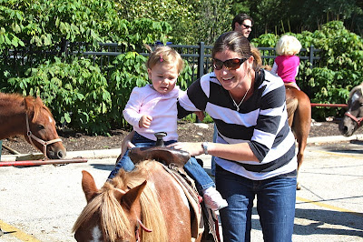 The Evolving Elseners: Pony Rides