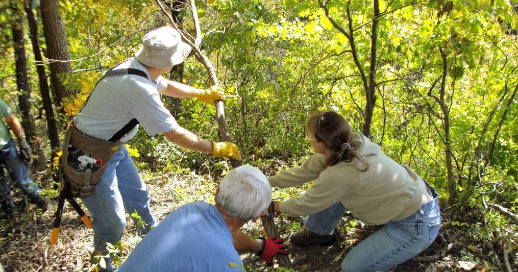 OMI USA JPIC Blog: Volunteers Enhance Biodiversity at Missionary ...