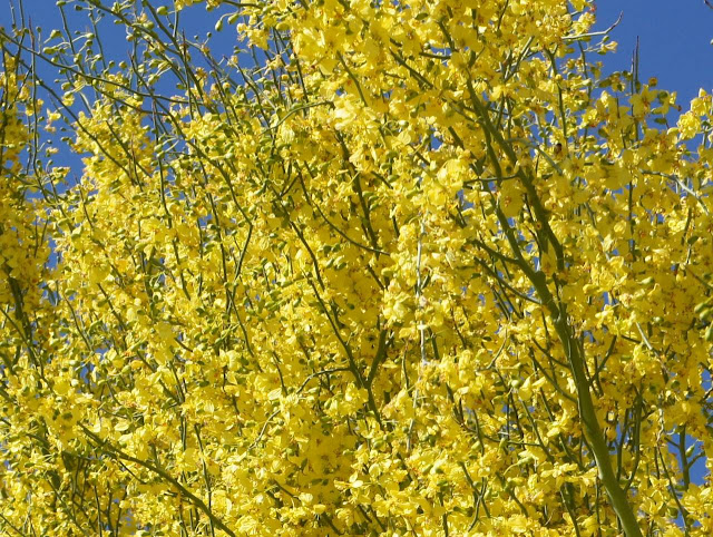 Out There: April 2011