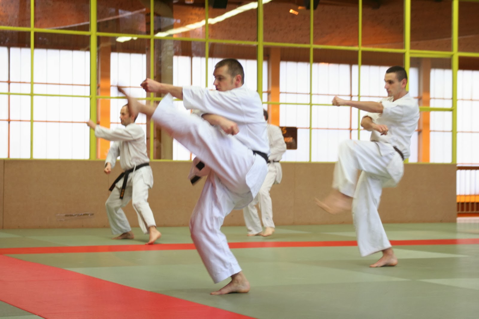 Aïkido Iaïdo Karaté Do Shotokaï : KARATE DO SHOTOKAÏ