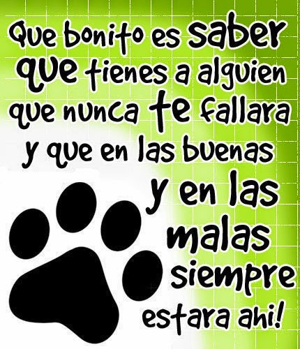 Frases de Amor Tiernas, parte 1 - IMÁGENES PARA WHATSAPP ® y Fotos para ...