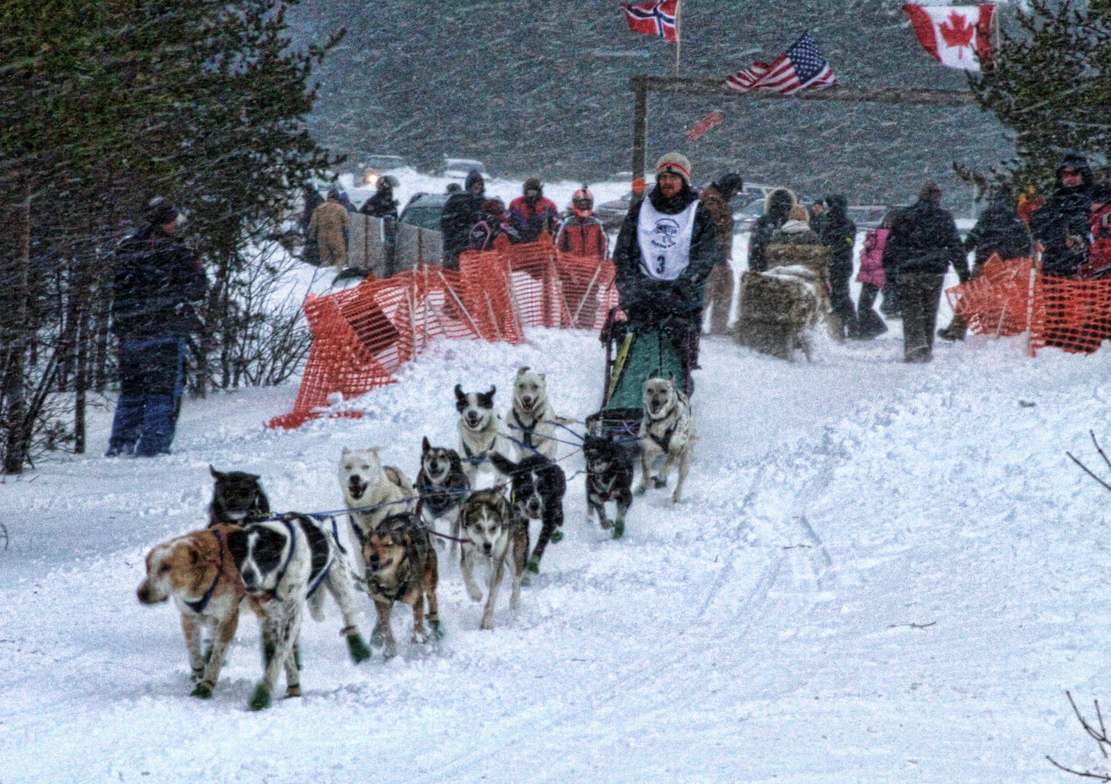 Diamond Dogs Racing : February 2011