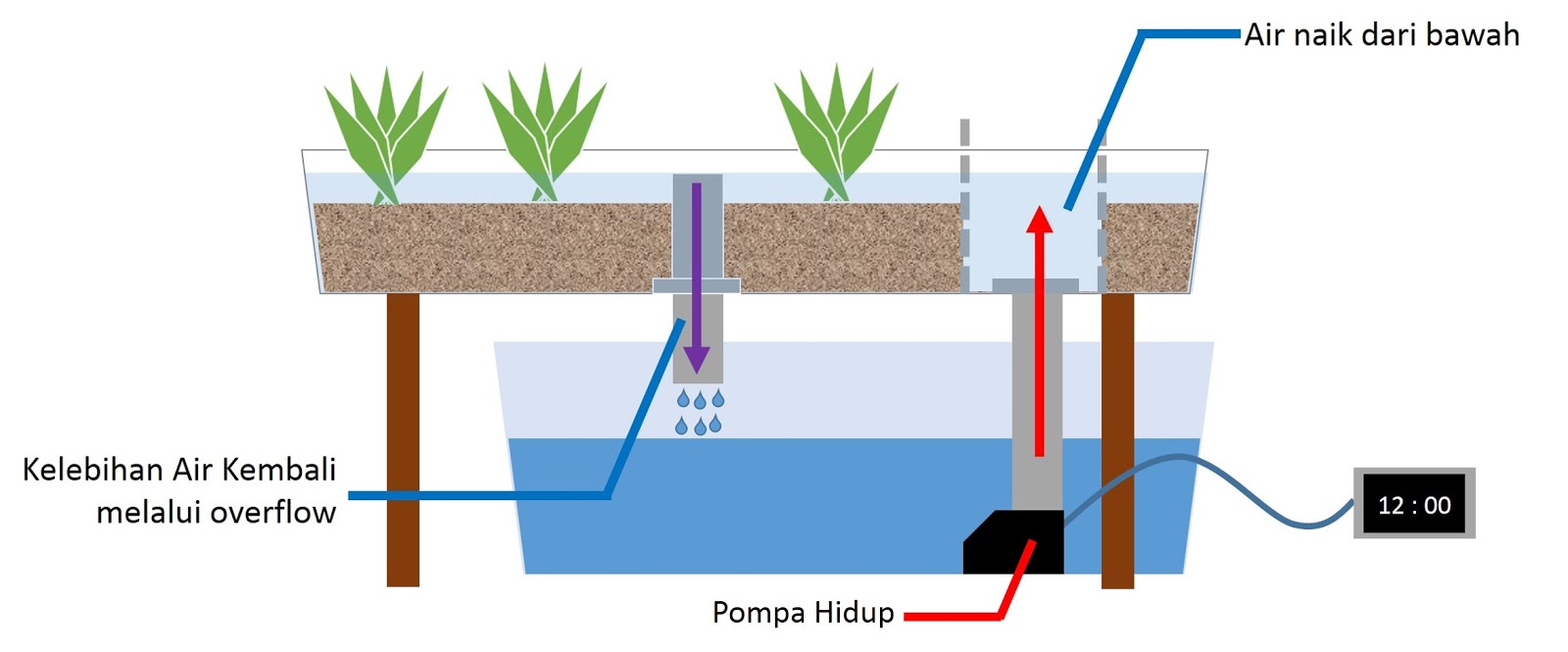 Sistem Ebb Flow - Sistem Hidroponik yang Dapat Menjadi Rival NFT tetapi ...