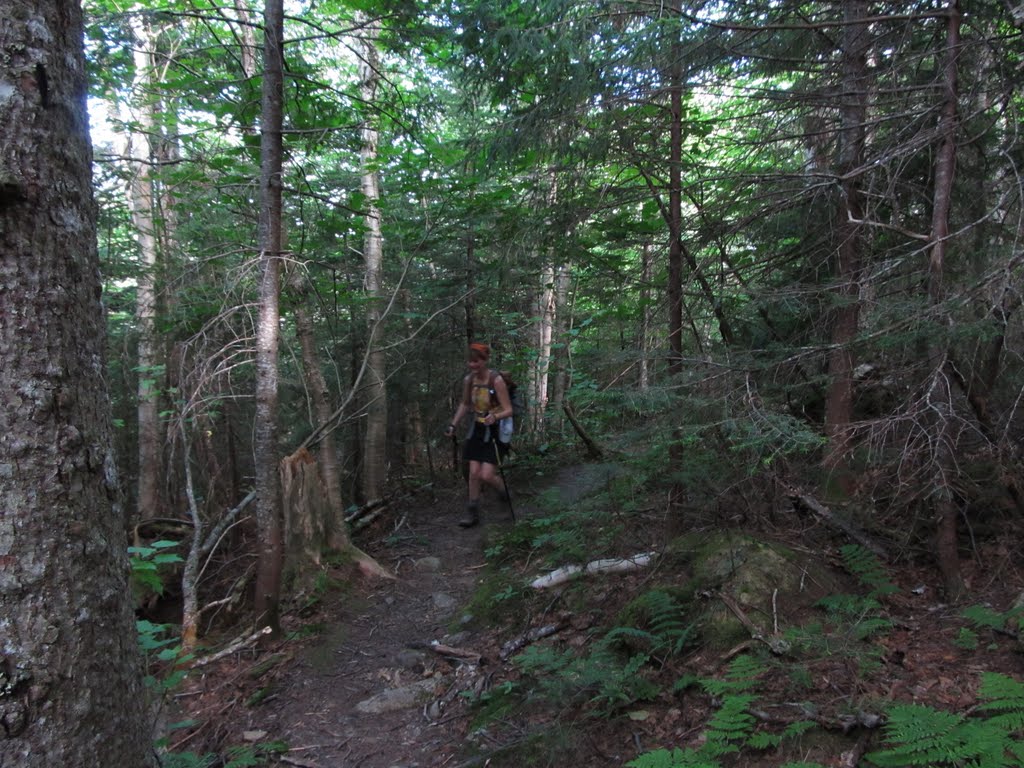 Ramblings: Seeking an Alternate Peak - Mt Adams via King Ravine