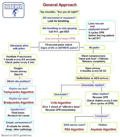 TENTANG JANTUNG: PENATALAKSANAAN UMUM/ GENERAL APPROACH ACLS 2010