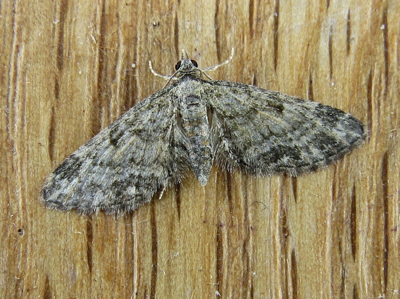 The Bagsy Blog: July 2014