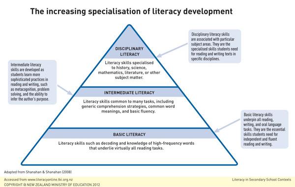 T&L 528 Literacy within the Disciplines