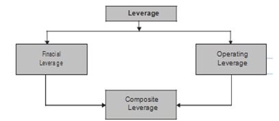 Discuss the concept of leverage? Distinguish the operating leverage ...