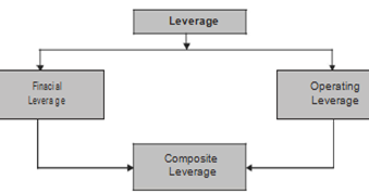 Discuss the concept of leverage? Distinguish the operating leverage ...