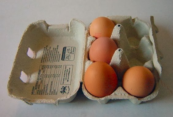 Owlets Class Blog: Junk Modelling...