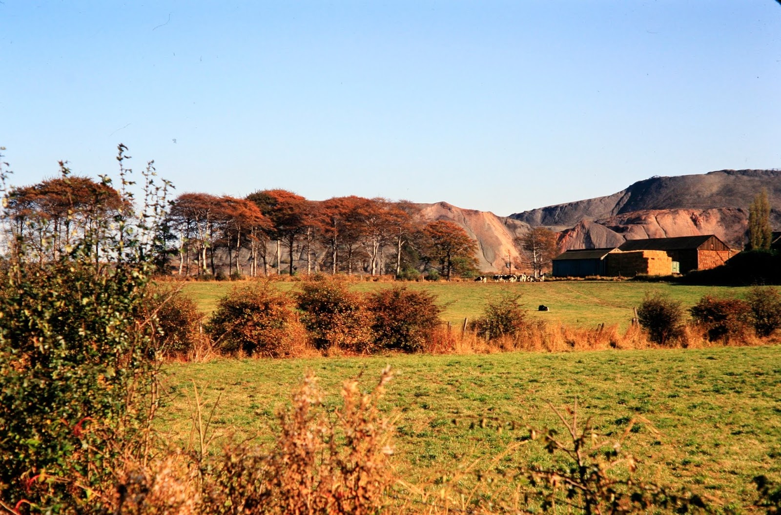 FEATHERSTONE PHOTOGRAPHS: Green Lane