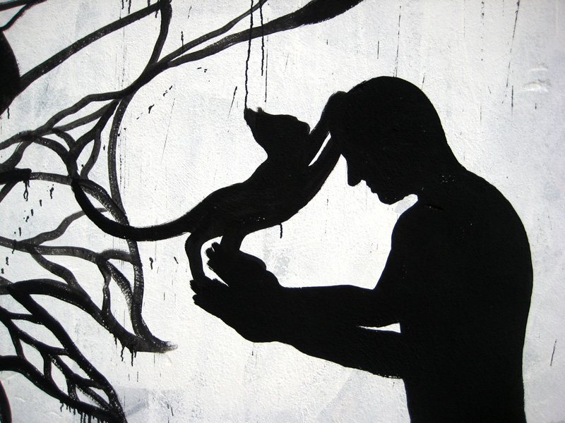 LIMOW blog: NONDUERMAS