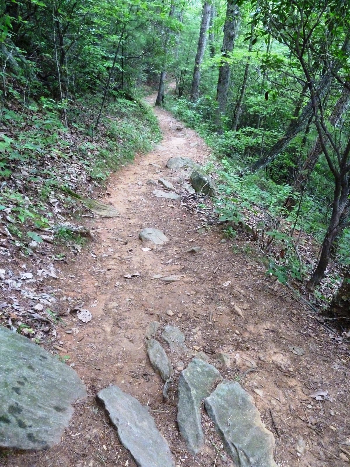 Wanderdipity: Forest Roads & High Shoals Trail: Day 3 in North Georgia