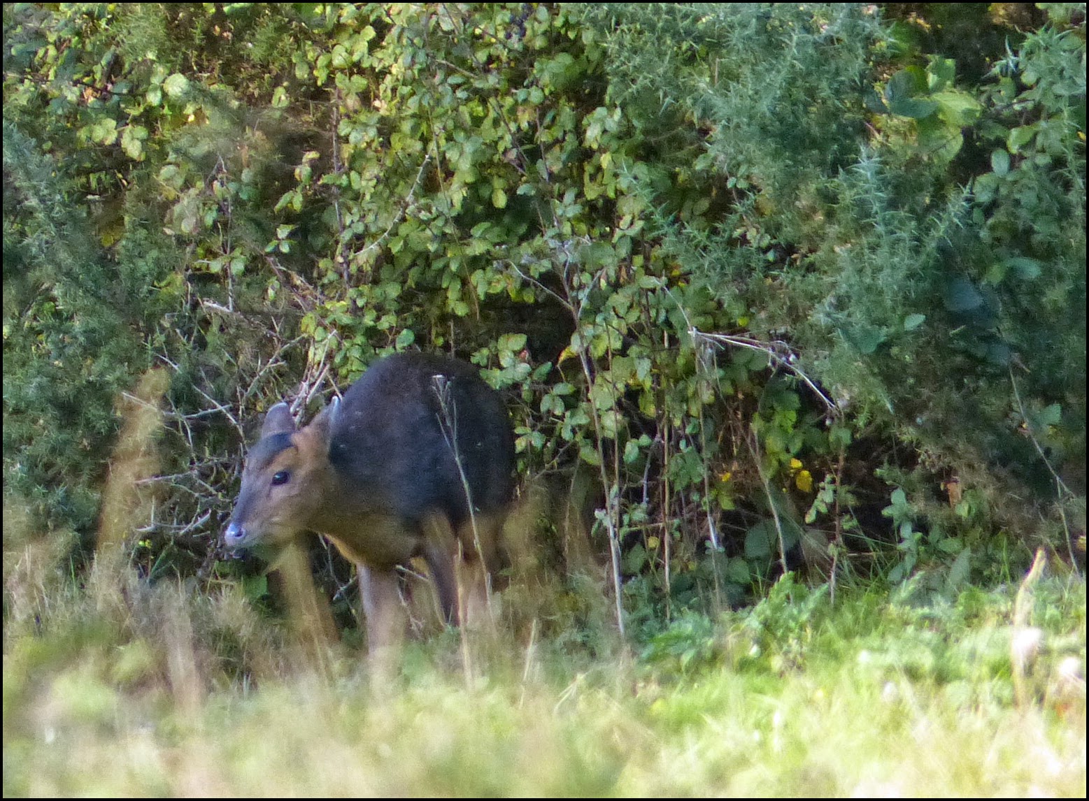 Wild and Wonderful: October 2014