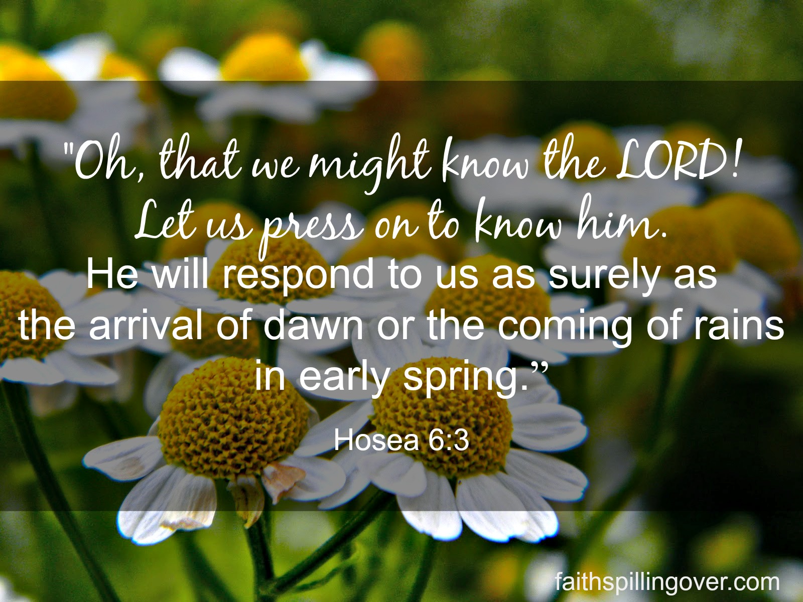 Prayer Pointers: Hosea 6:3 - Know the LORD