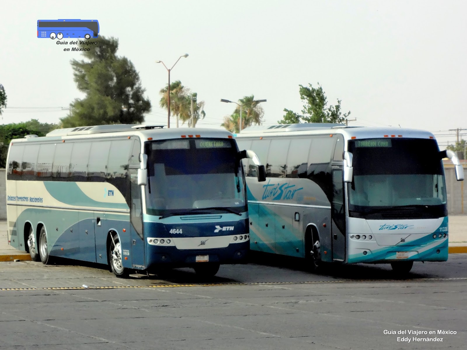 ETN / Turistar Lujo, llevan la línea más cómoda a casi todo el país