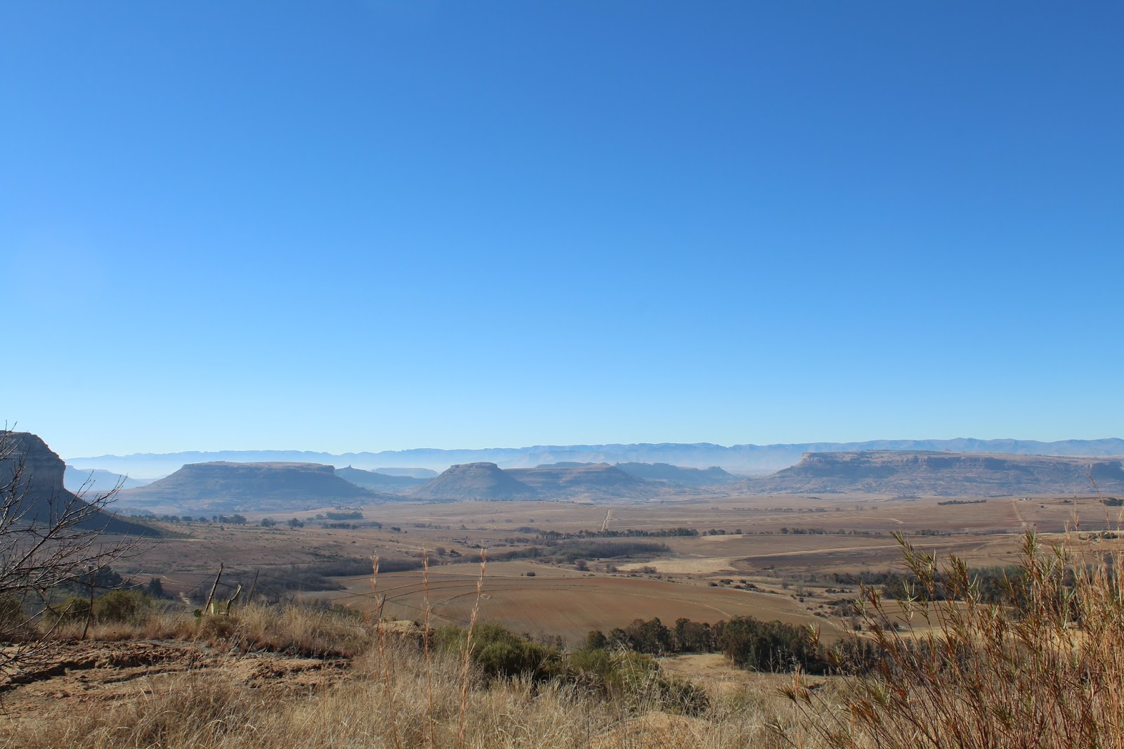 The Agri Handbook Blog: Rustler's Valley (conclusion): Conversations 2