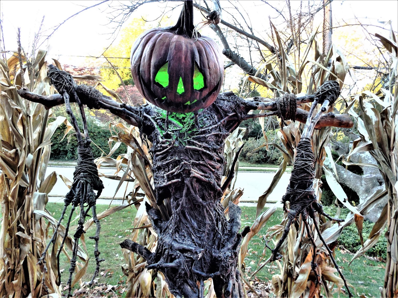 PUMPKINROT.COM: The Blog: Scarecrow