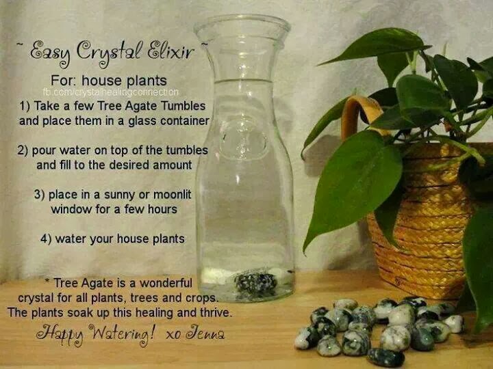 Crone Cronicles: Crystal Eixir for House Plants