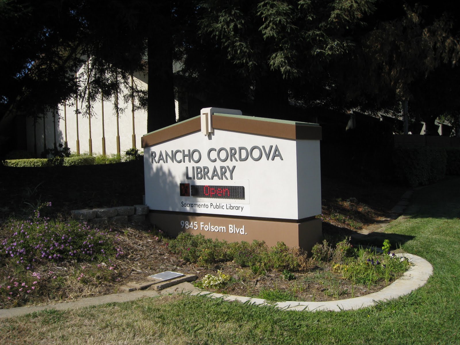 Library Fun & Leprechaun Traps | Janet Lee Carey