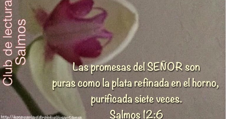 Promesas de Dios: Club de lectura - Salmo 12