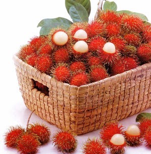 Caraka Purwo Wibisono: Mengenal manfaat dan khasiat buah rambutan