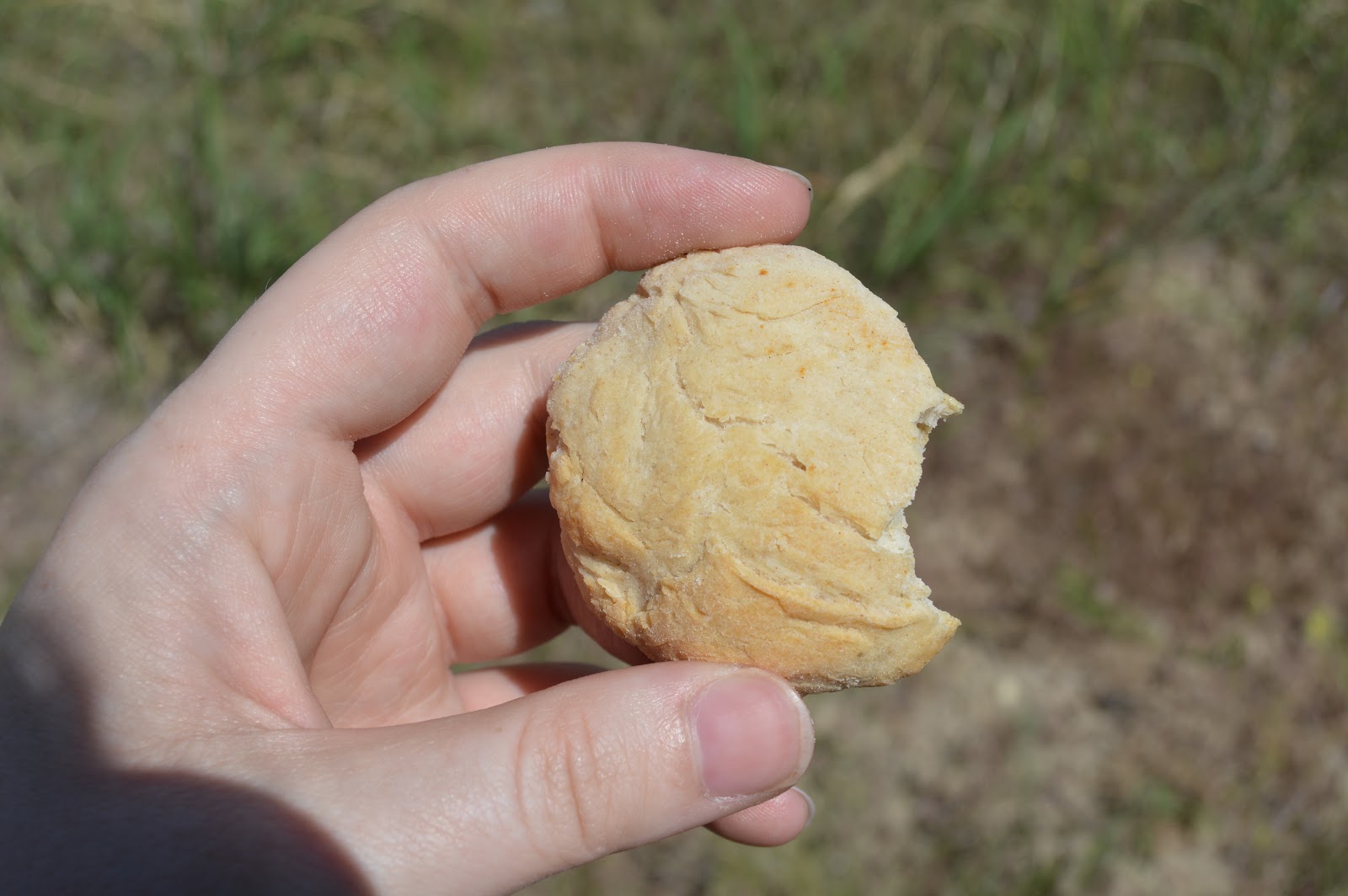 Love.Haight: 175 Years of the Oregon Trail: A Visit to Captivating ...