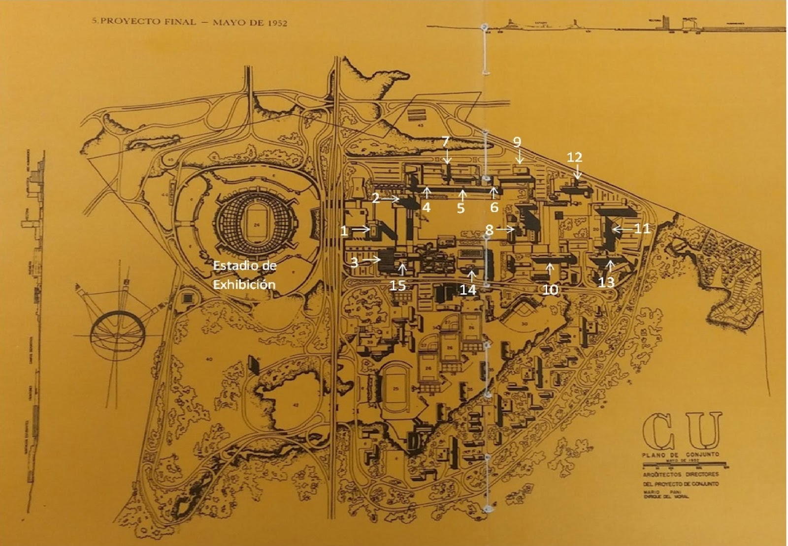 Historia Biouniversitaria: Ciudad Universitaria (CU)