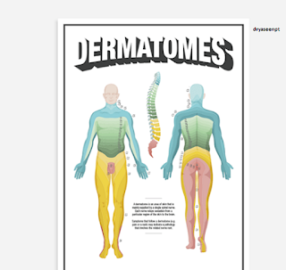 Dermatome made easy