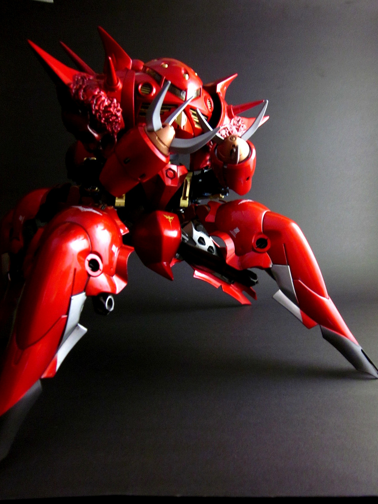 Build and Shoot: CHAR'S Z'GOK: CUSTOMIZED BUILD