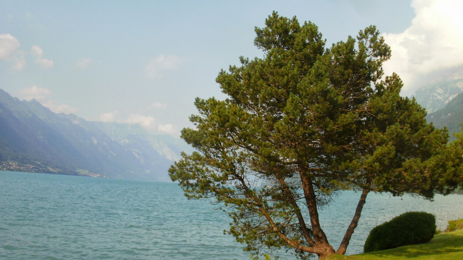 EXCURSII CU BICICLETA: Elvetia